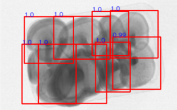 株式会社VRAIN Solution（ヴレイン ソリューション）